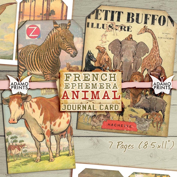 Antique French Flash Cards - Etsy