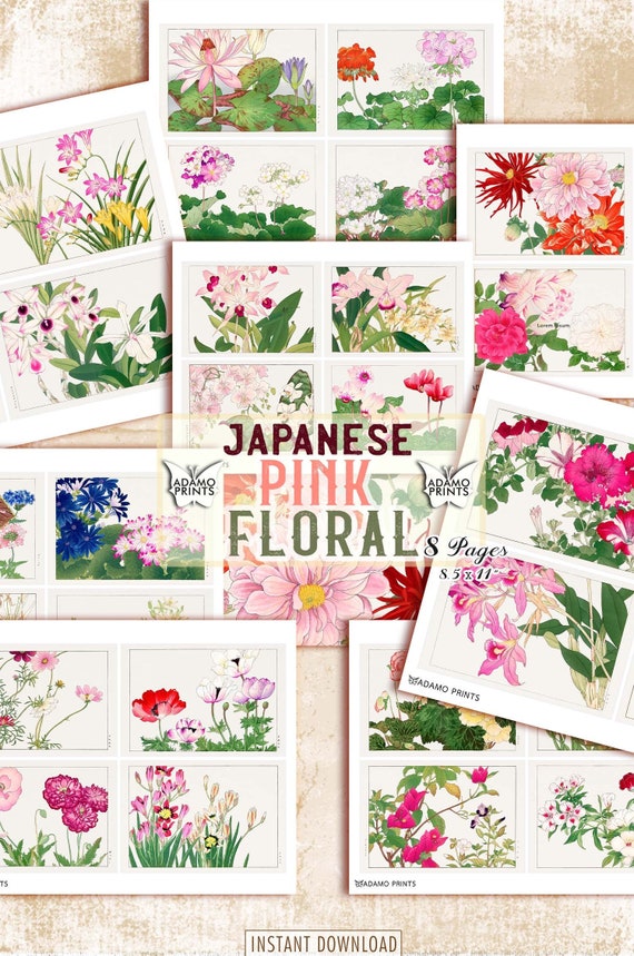 Japanese Pink Floral Japanese Art Postcard Digital Image | Etsy