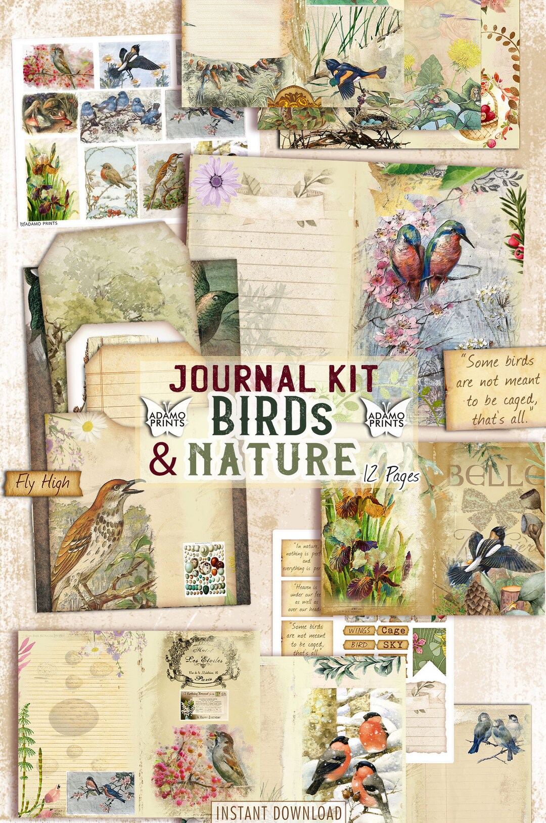 Birds & Nature Journal Kit Journal Page Collage Sheets - Etsy España