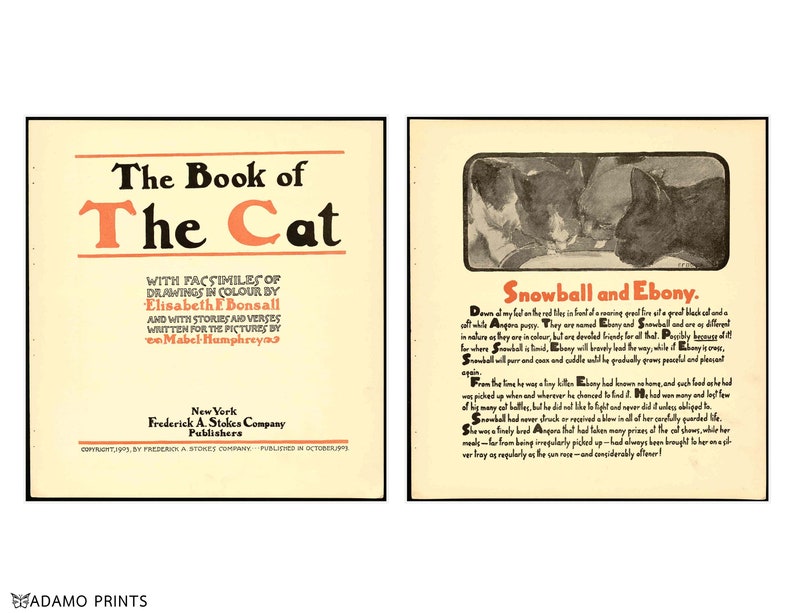 The Book of the Cat Book Page Children Book Digital - Etsy