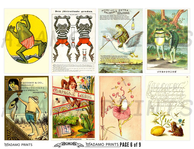 The Frogs Animal Digital Trade Card ATC Woodland Digital - Etsy