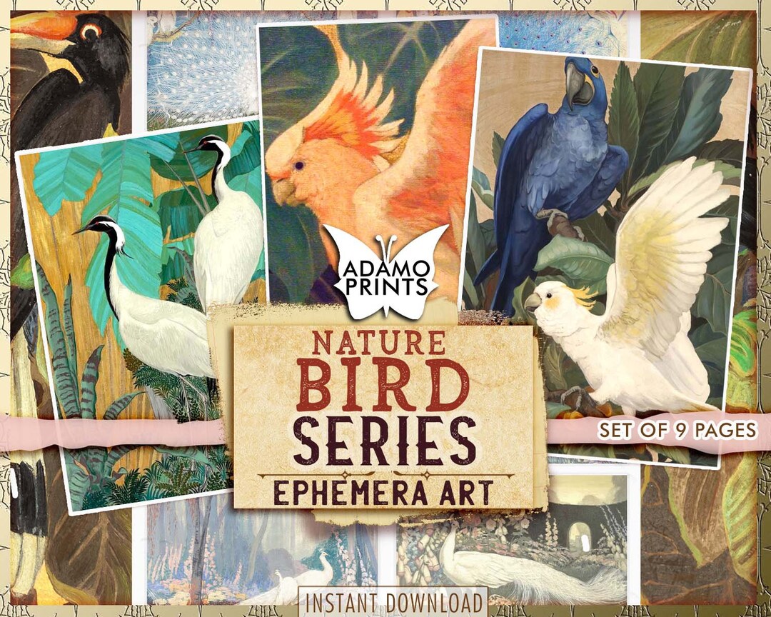 Nature Bird Series, Digital Images, Animal Digital, Ephemera Classic ...