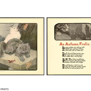 The Book of the Cat, Book Page, Children Book Digital, Ephemera Cat ...