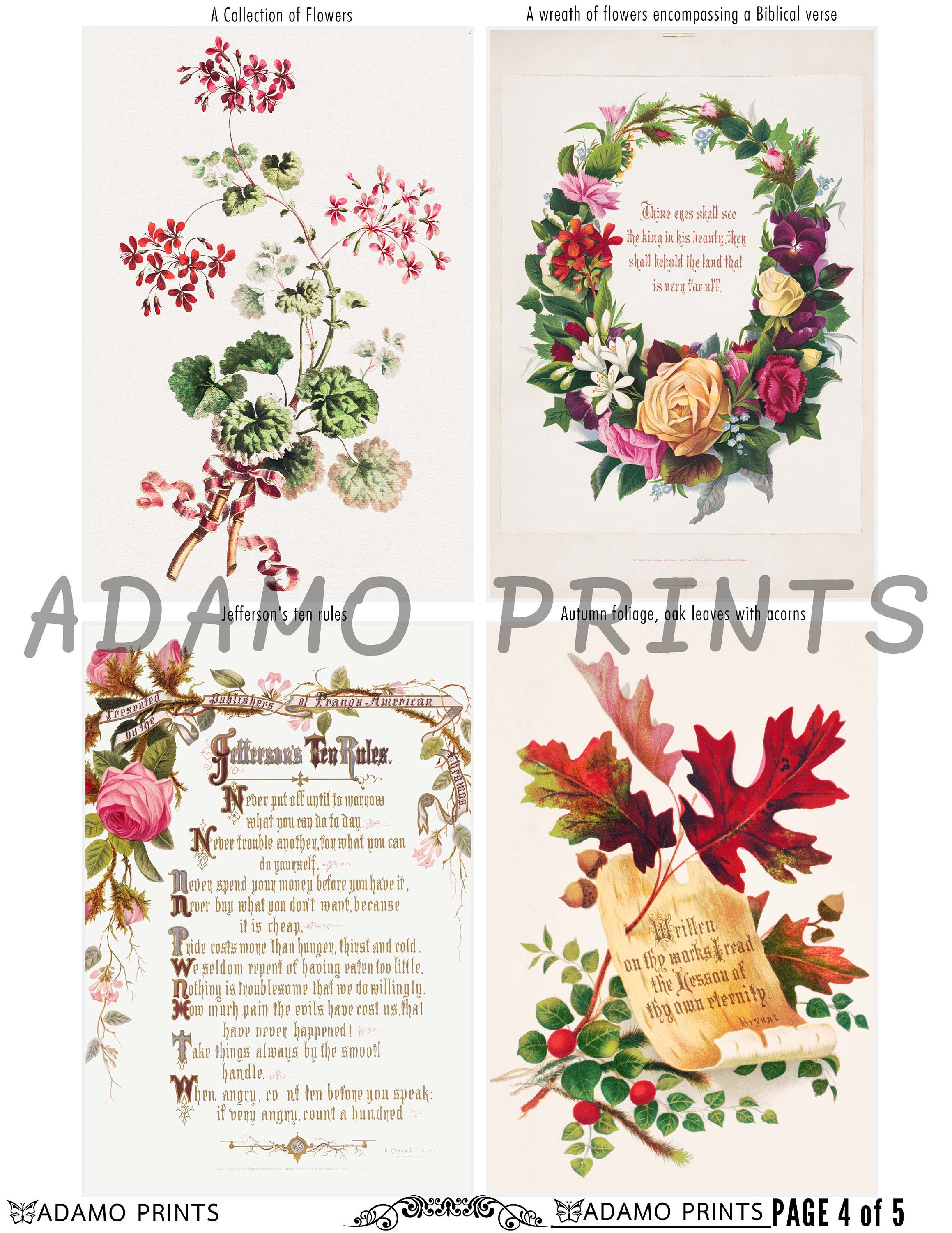 When Flower Bloom Set1 Flower Digital Digital Ephemera - Etsy