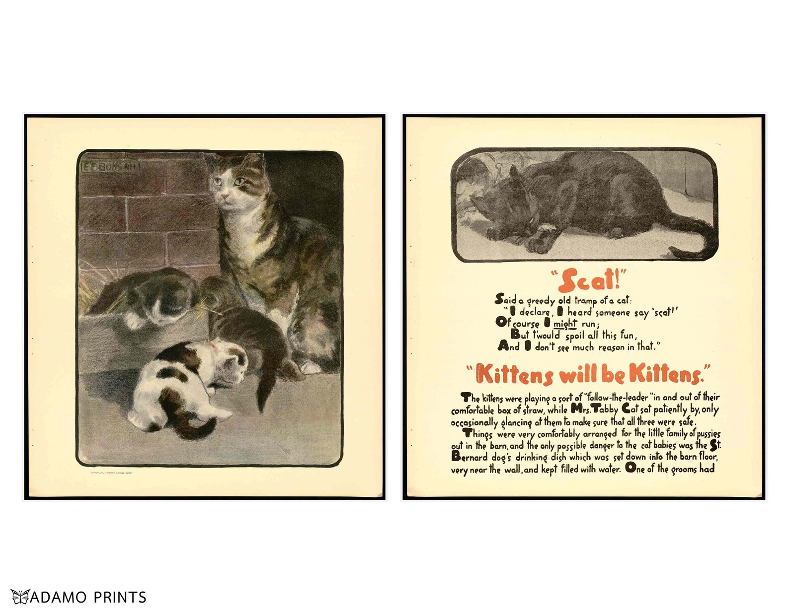 The Book of the Cat, Book Page, Children Book Digital, Ephemera Cat ...