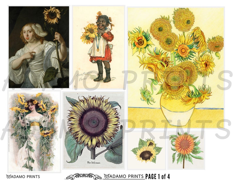 Sunflowers Garden Digital Ephemera Classics Plants Digital - Etsy