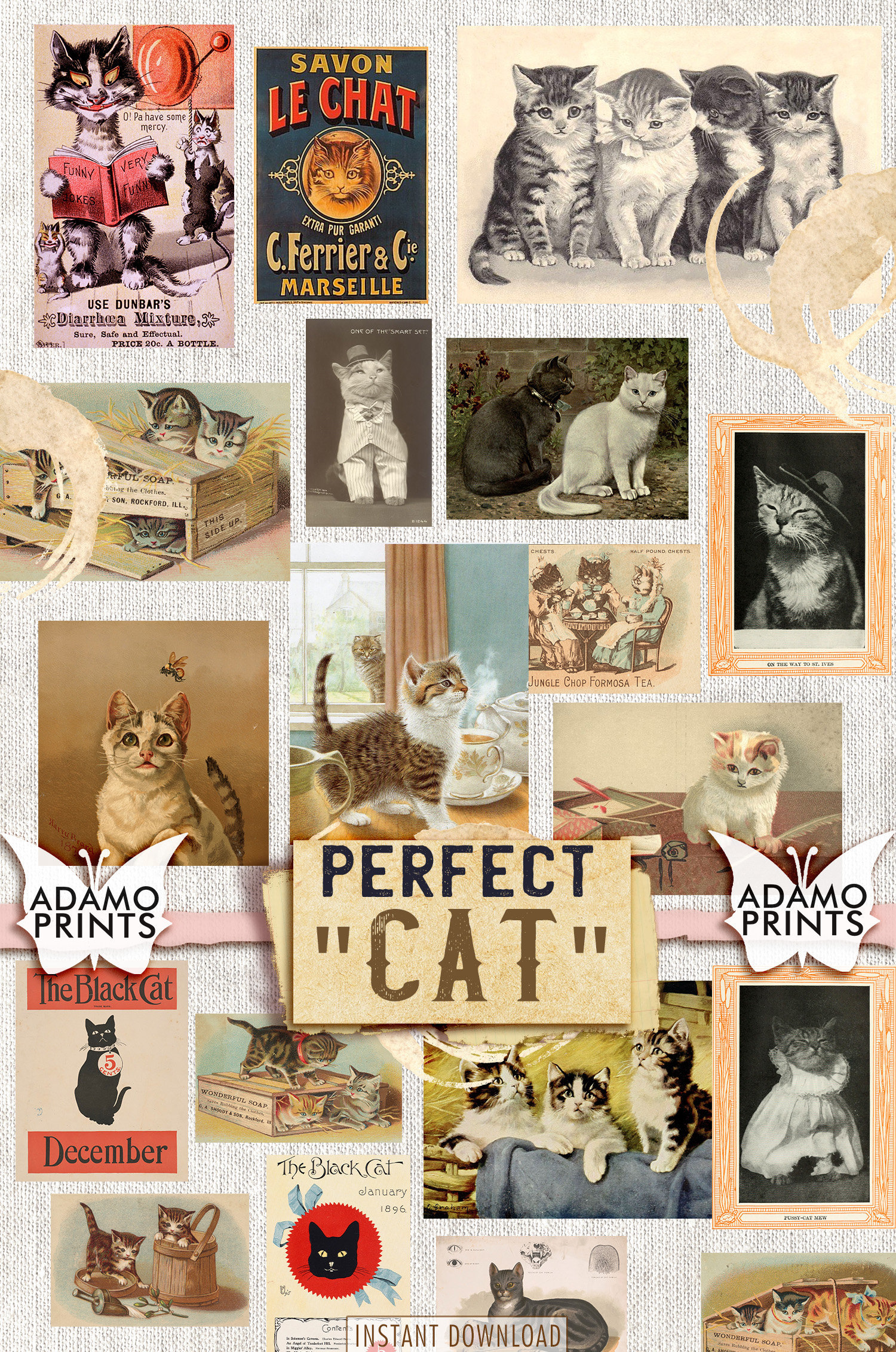 Cats Collage Wallpaper