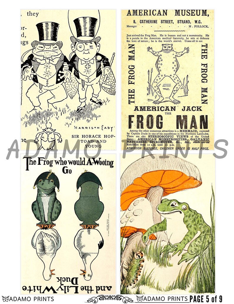 The Frogs Animal Digital Trade Card ATC Woodland Digital - Etsy