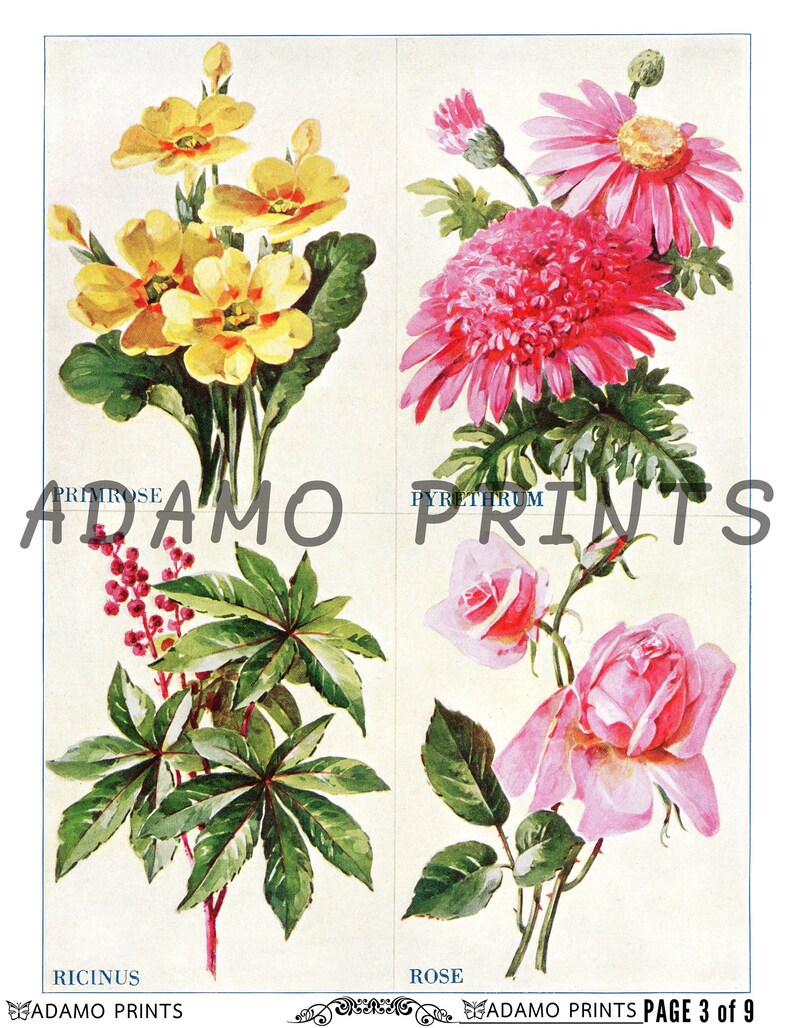 Watercolor Flower Garden Set2 Ephemera Flower Digital Image - Etsy