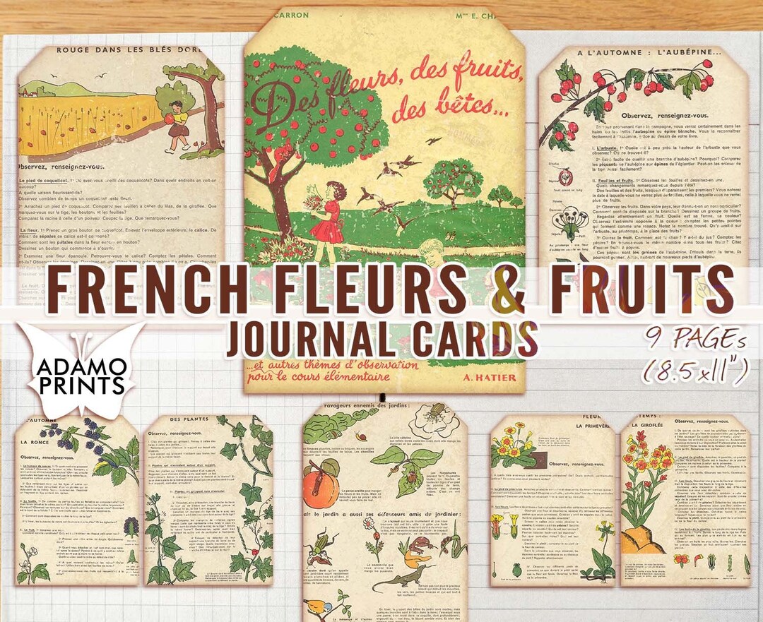 Vintage French Fleurs & Fruits Journal Cards: Ephemera Collage (digital ...