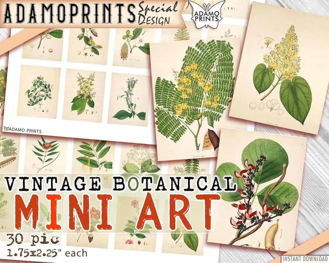 Mini Art - Vintage Botanical, Miniature Images, Journal Supplies ...
