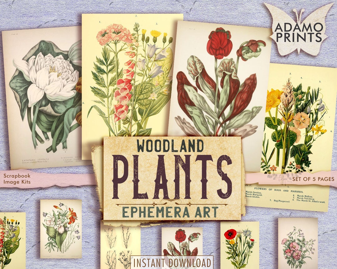 Woodland Plants, Botanical Digital, Digital Ephemera, Scrapbook, ATC ...