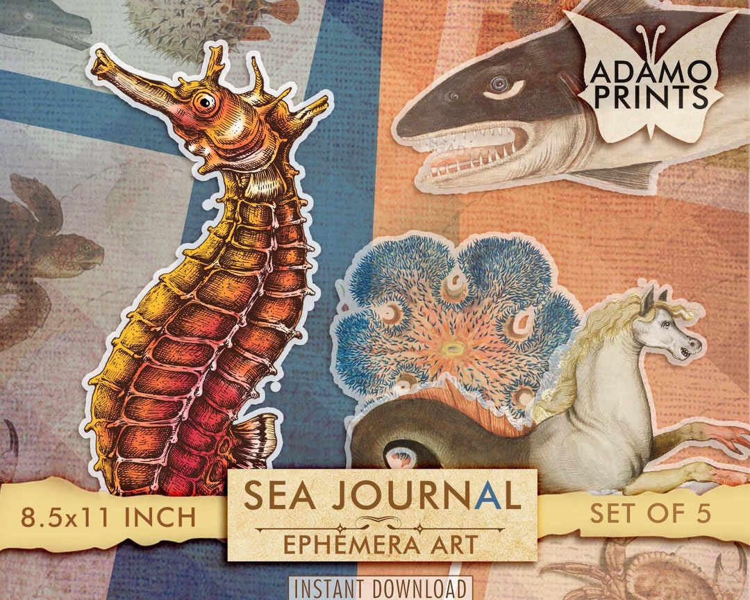 Sea Journal, Digital Ephemera, Science, Turtle, Crab, Fish, Seahorse ...