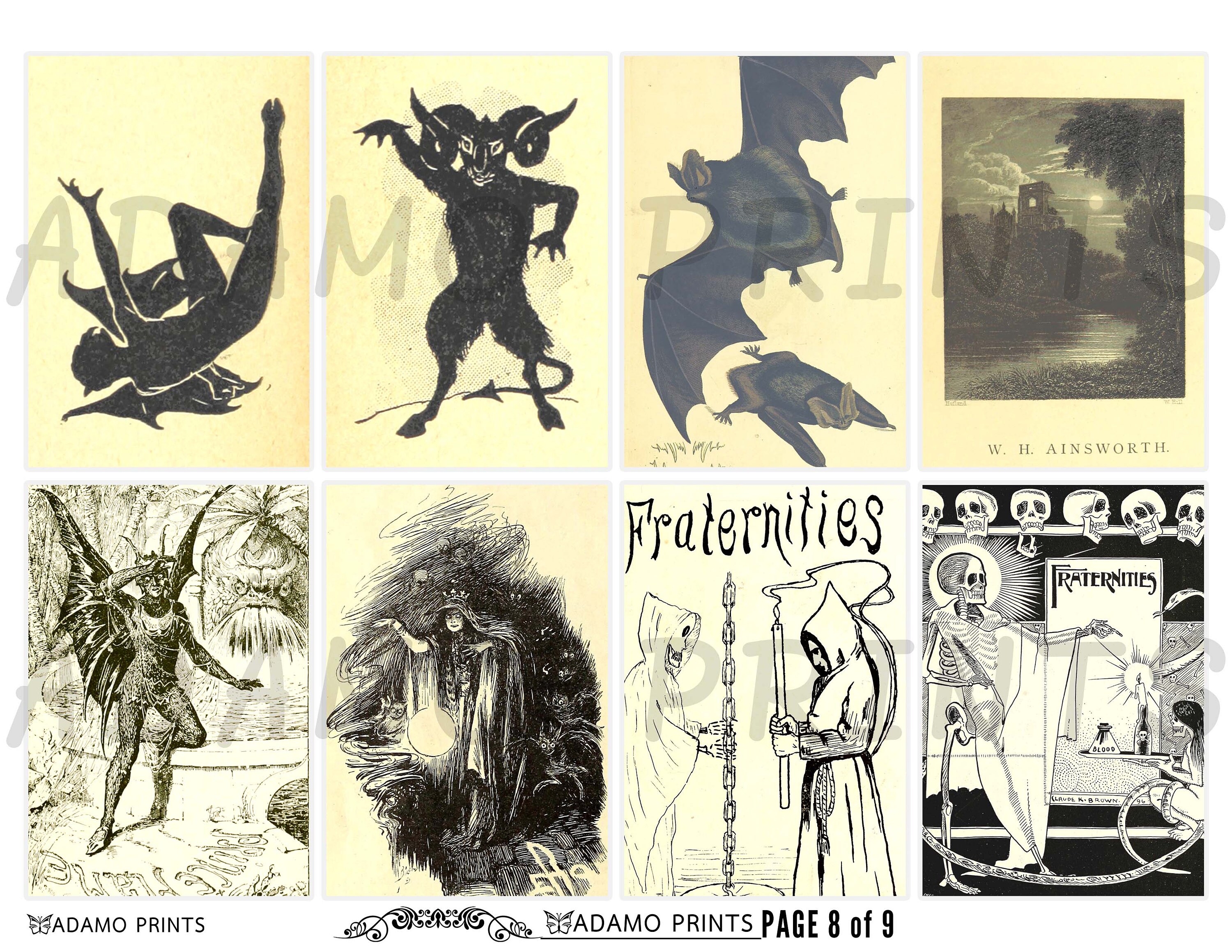 Spooky Horror Paranormal Occult Witch Raven Skeleton | Etsy