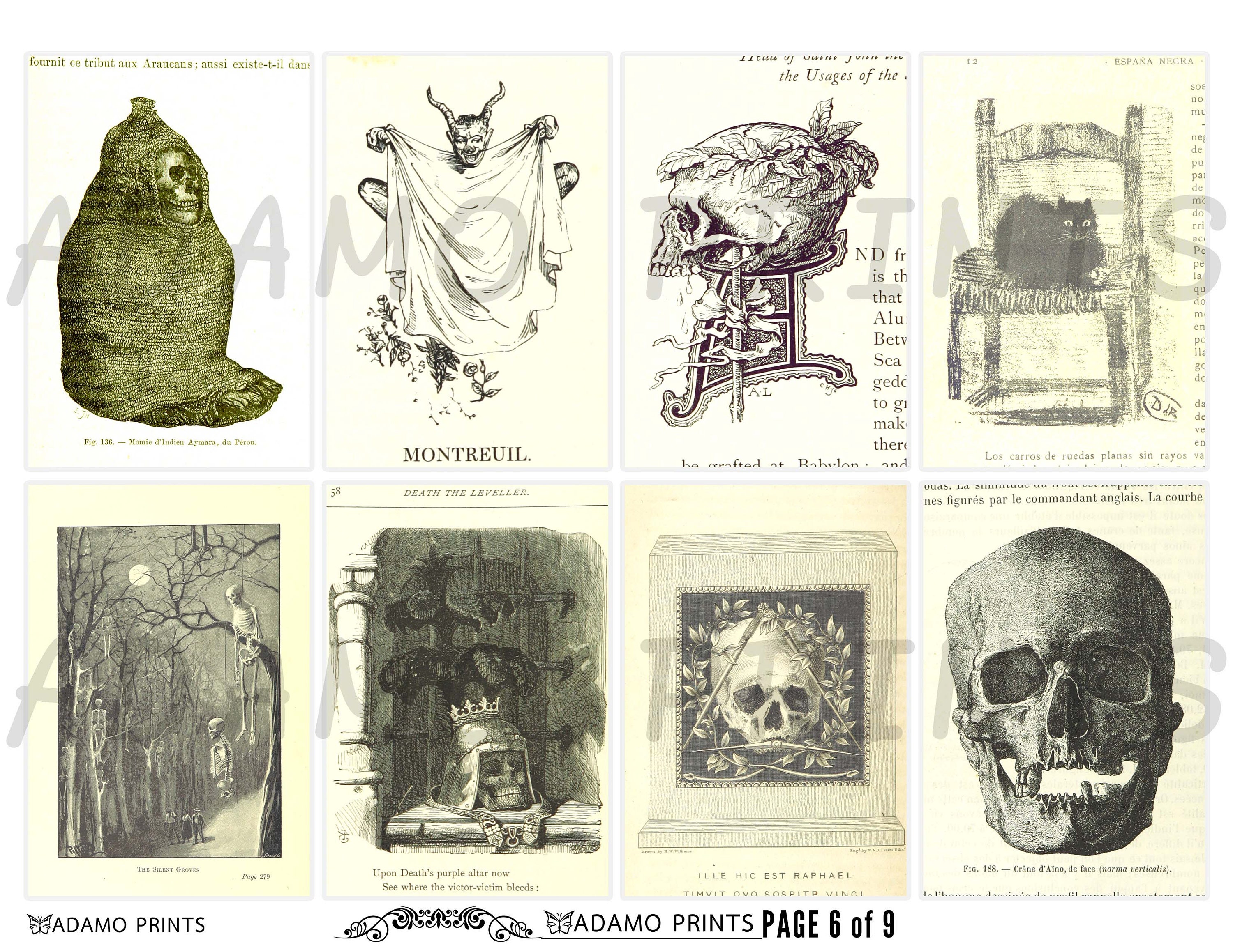 Spooky Horror Paranormal Occult Witch Raven Skeleton | Etsy