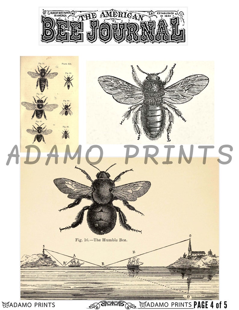 Busy Bee Set1, Ephemera Classics, Cards, Printable Images, Vintage Art ...