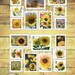 Sunflower Stamps, Faux, Sunflower Digital Kit, Ephemera, Collage ...