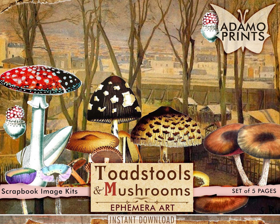 Toadstools And Mushrooms Printable Mushrooms Ephemera Art Printable