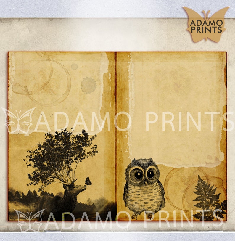 Nature Journal Pages Set2 Collage Sheet Coffee Dyed - Etsy