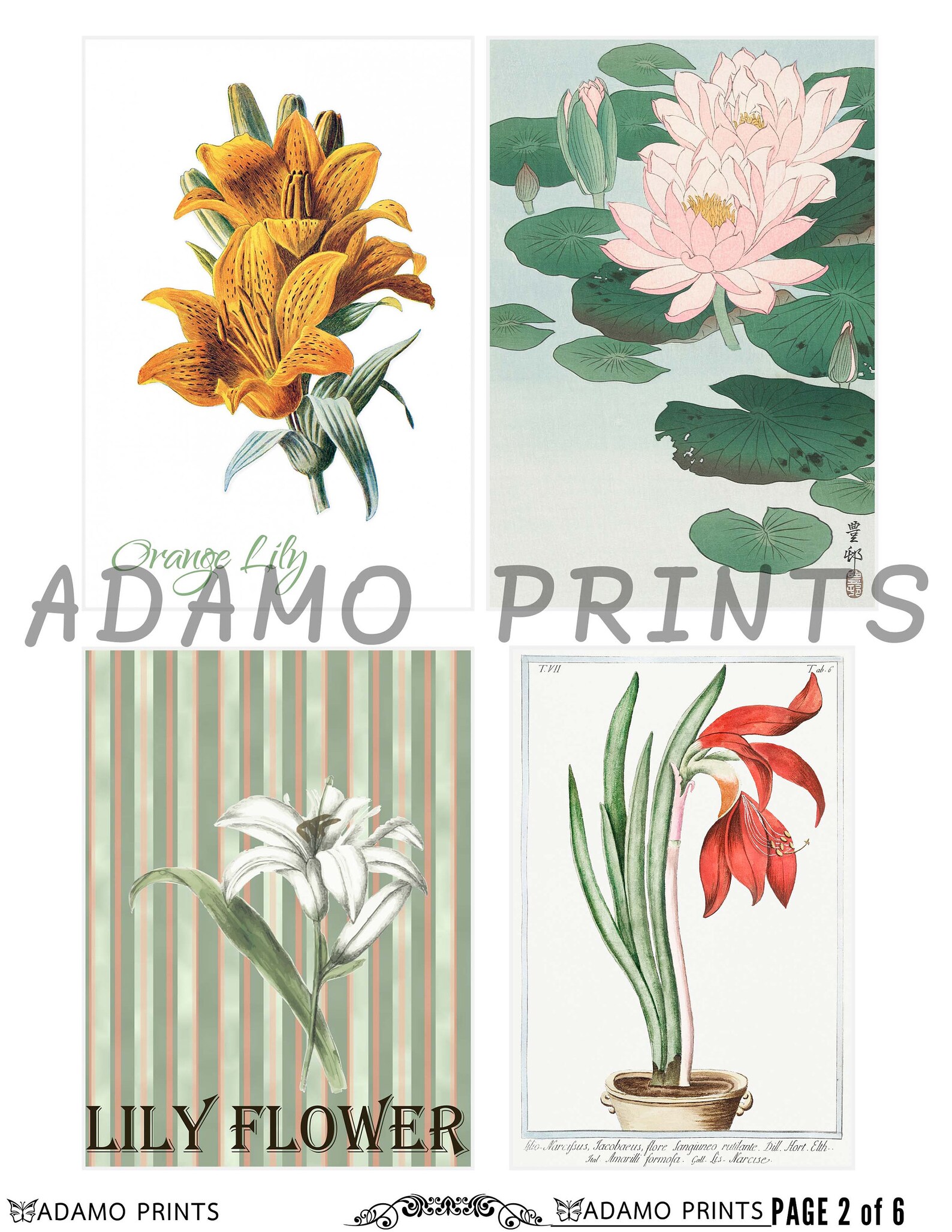 Lilies Set2 Digital Flowers Lily Digital Antique Journal - Etsy