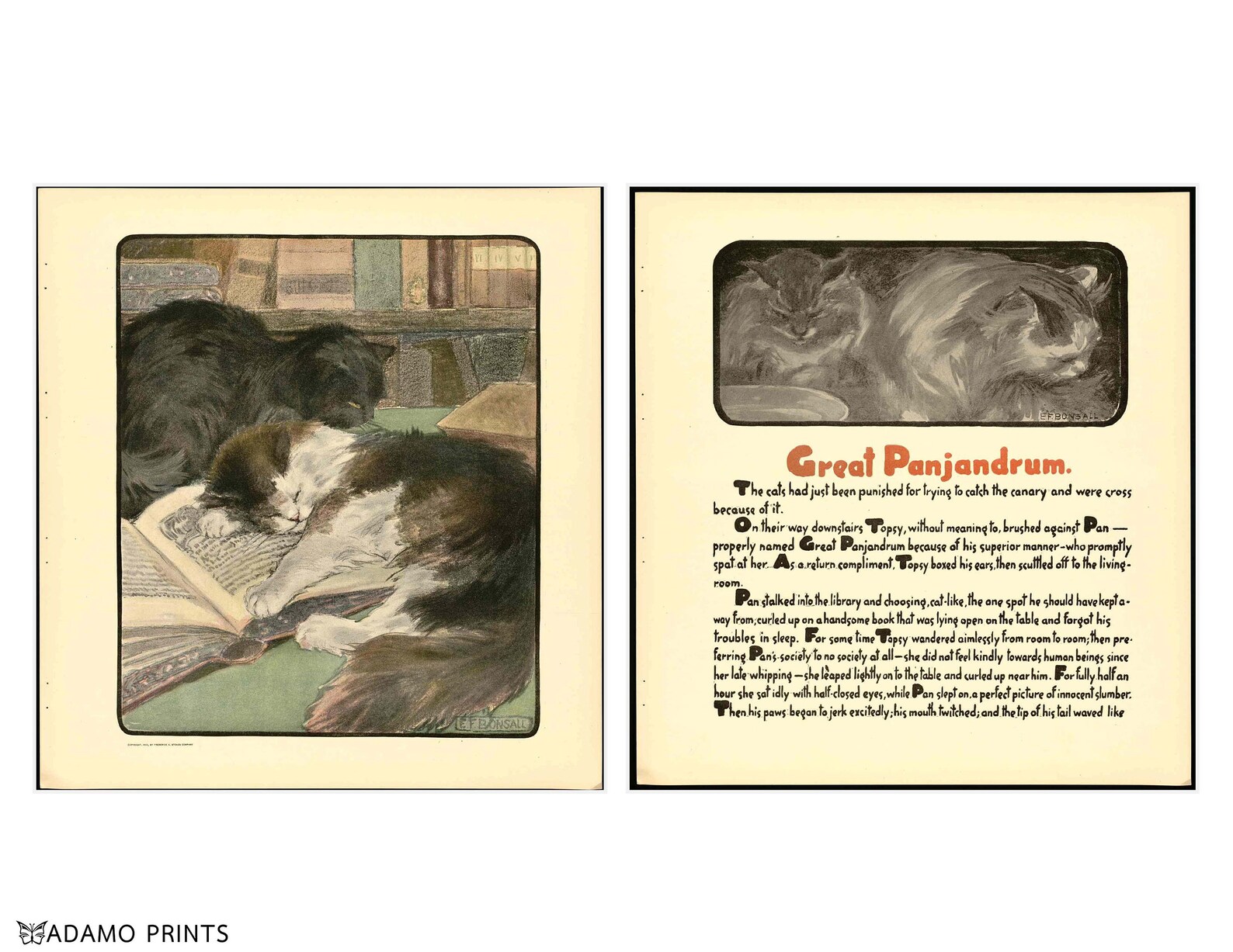The Book of the Cat Book Page Children Book Digital - Etsy