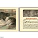 The Book of the Cat, Book Page, Children Book Digital, Ephemera Cat ...