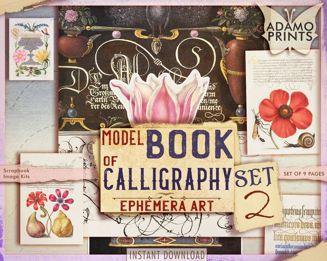 Model Book of Calligraphy Set2, Alphabet Digital, Rare Book Page ...