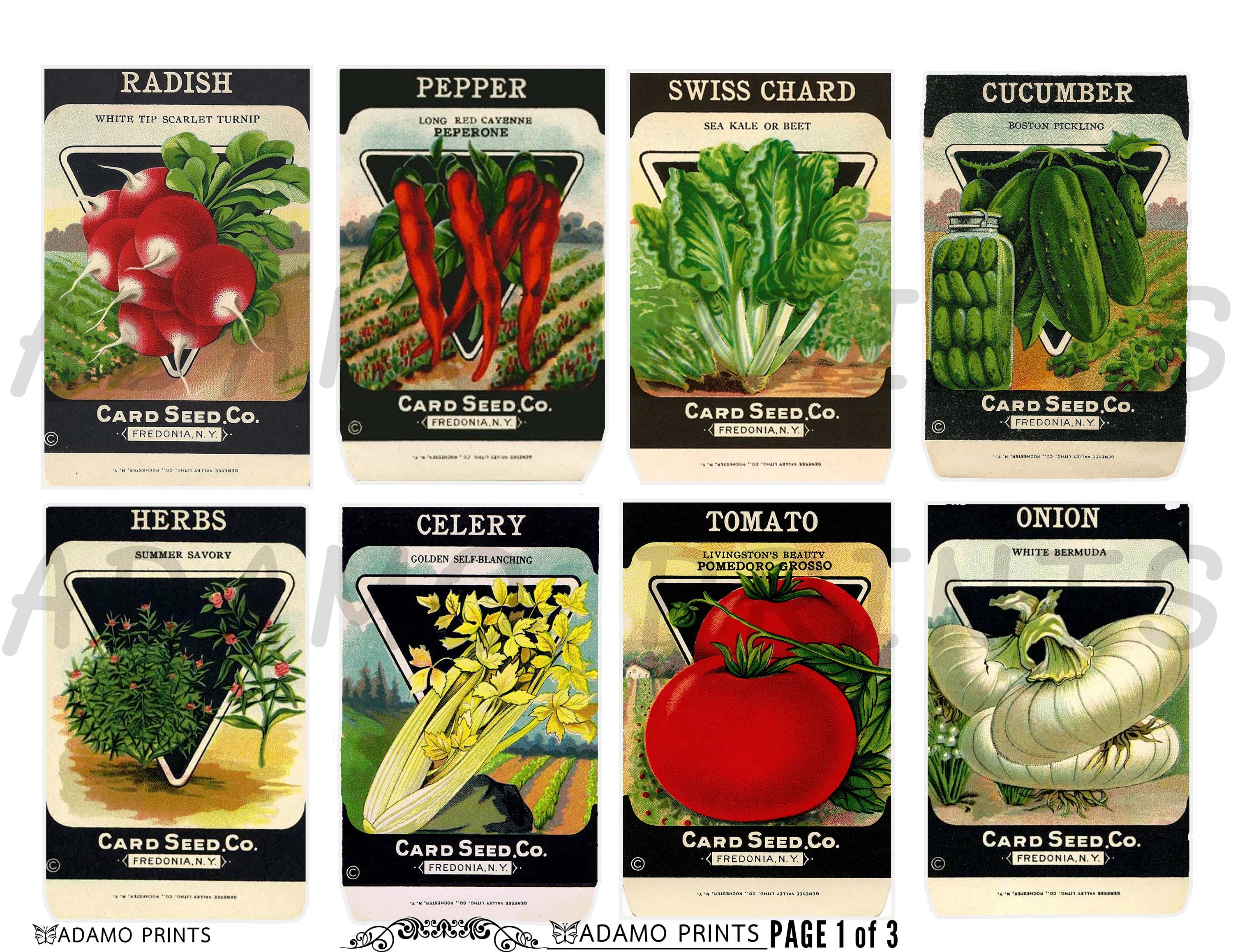 Vintage Vegetable Seed Packets Digital Images ATC Plants - Etsy