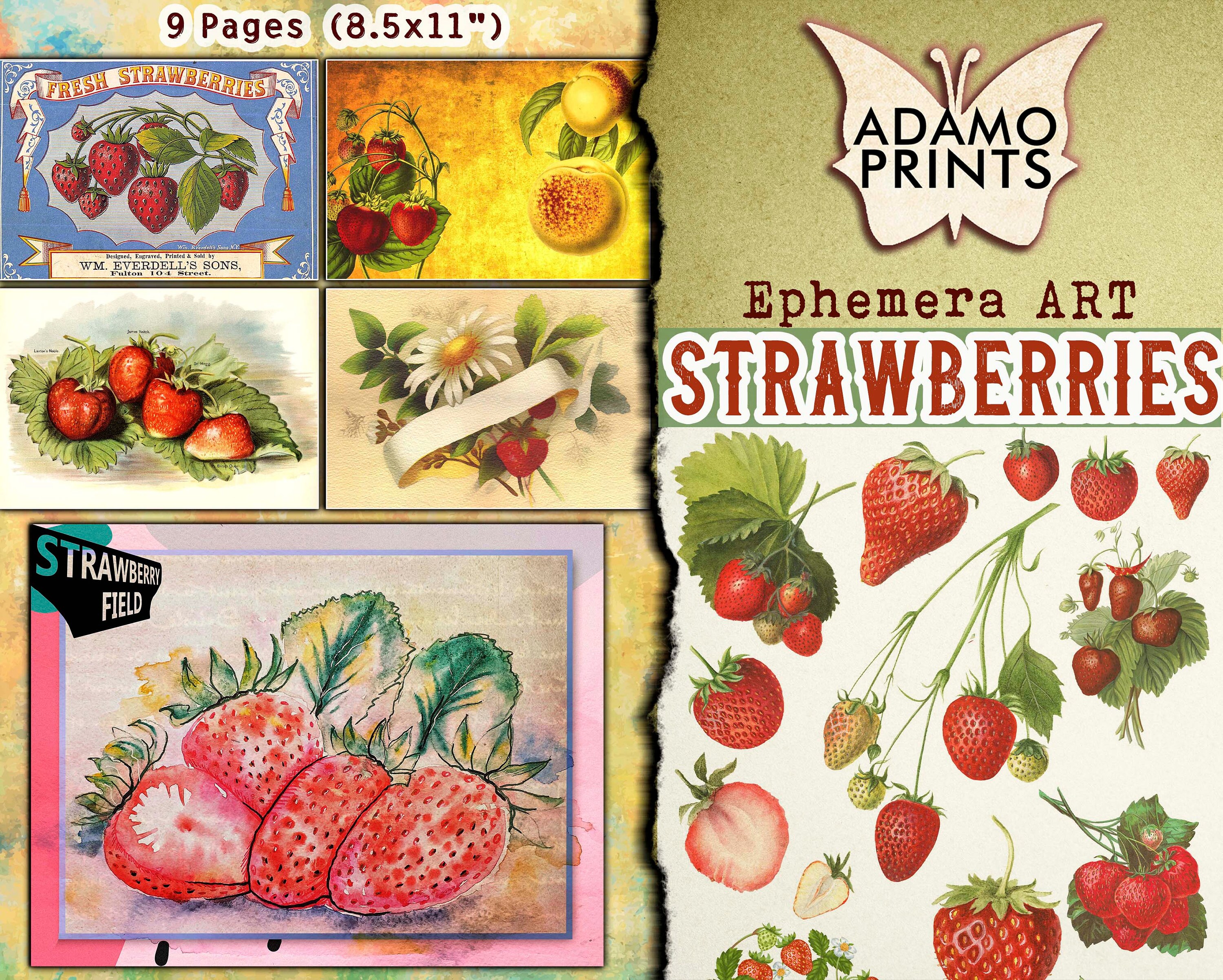 Strawberries Ephemera Arts Digital Images Vintage Art Red | Etsy