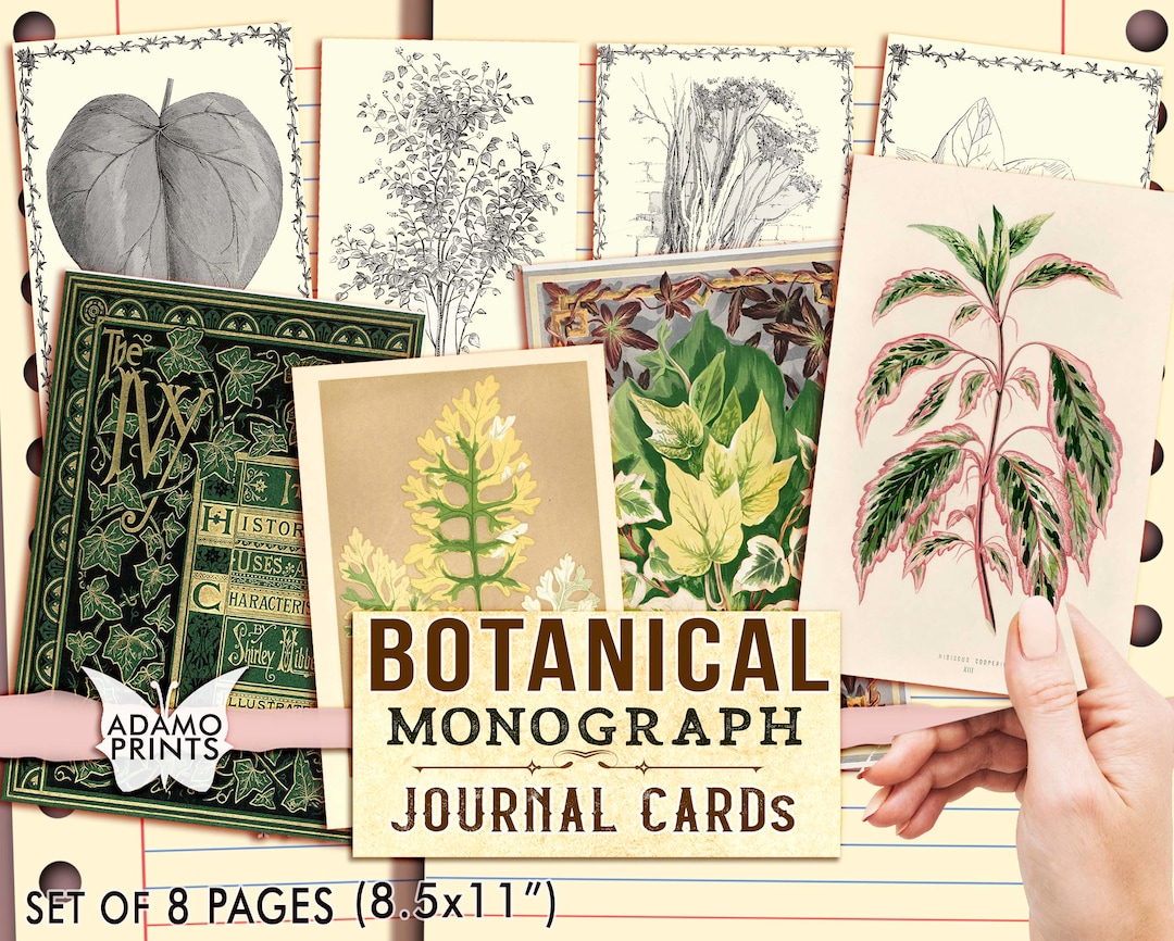 Botanical Monograph, Ivy, Plant Digital, Ephemera Classics, Vintage Art ...