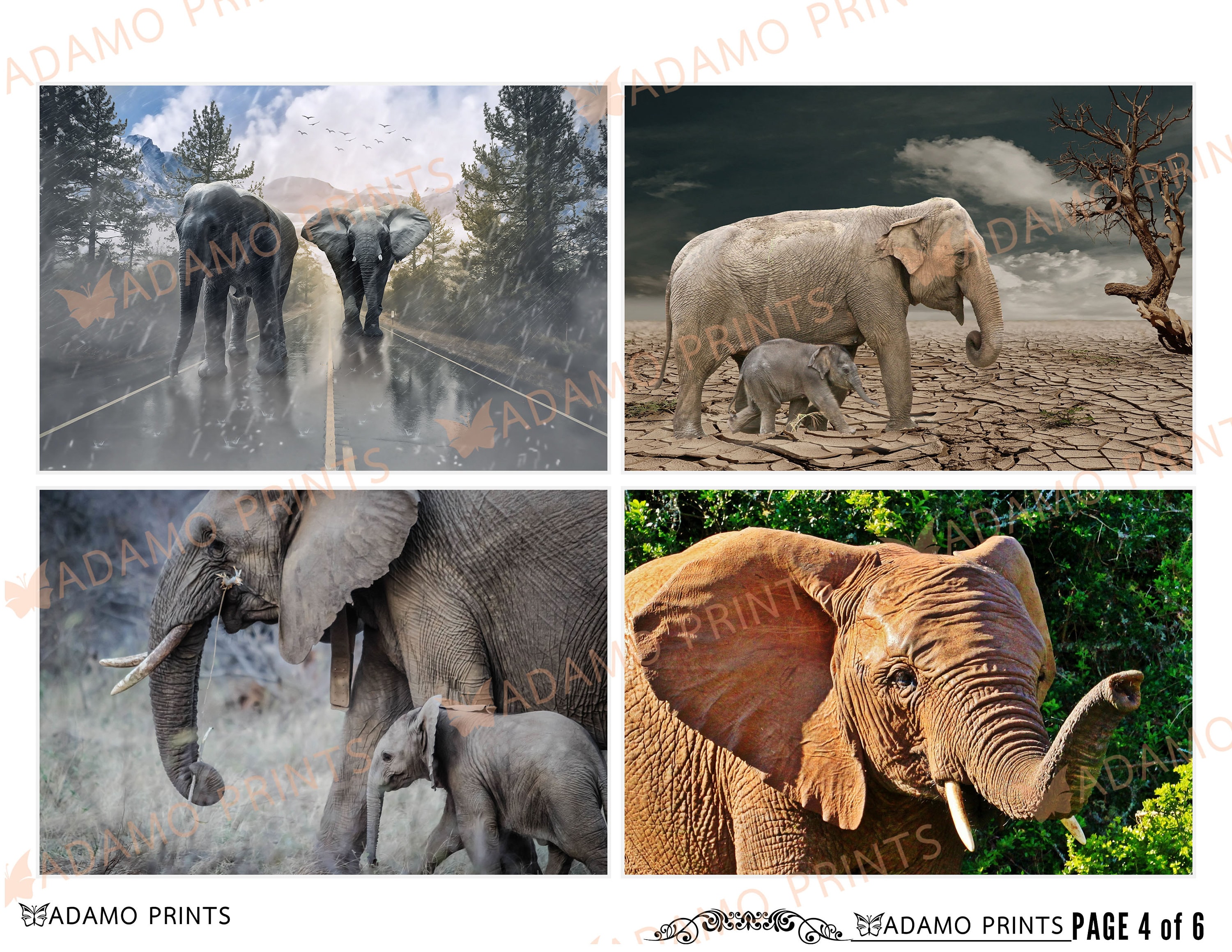 Elephant Digital Collage Ephemera Classics Vintage Vintage | Etsy