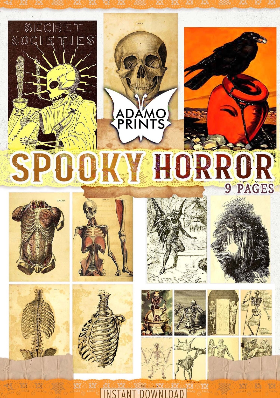 Spooky Horror, Paranormal Occult, Witch, Raven, Skeleton, Skull ...