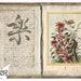 Vintage Japan Journal Kit, Japanese Journal Page, Asian Journal Pack ...