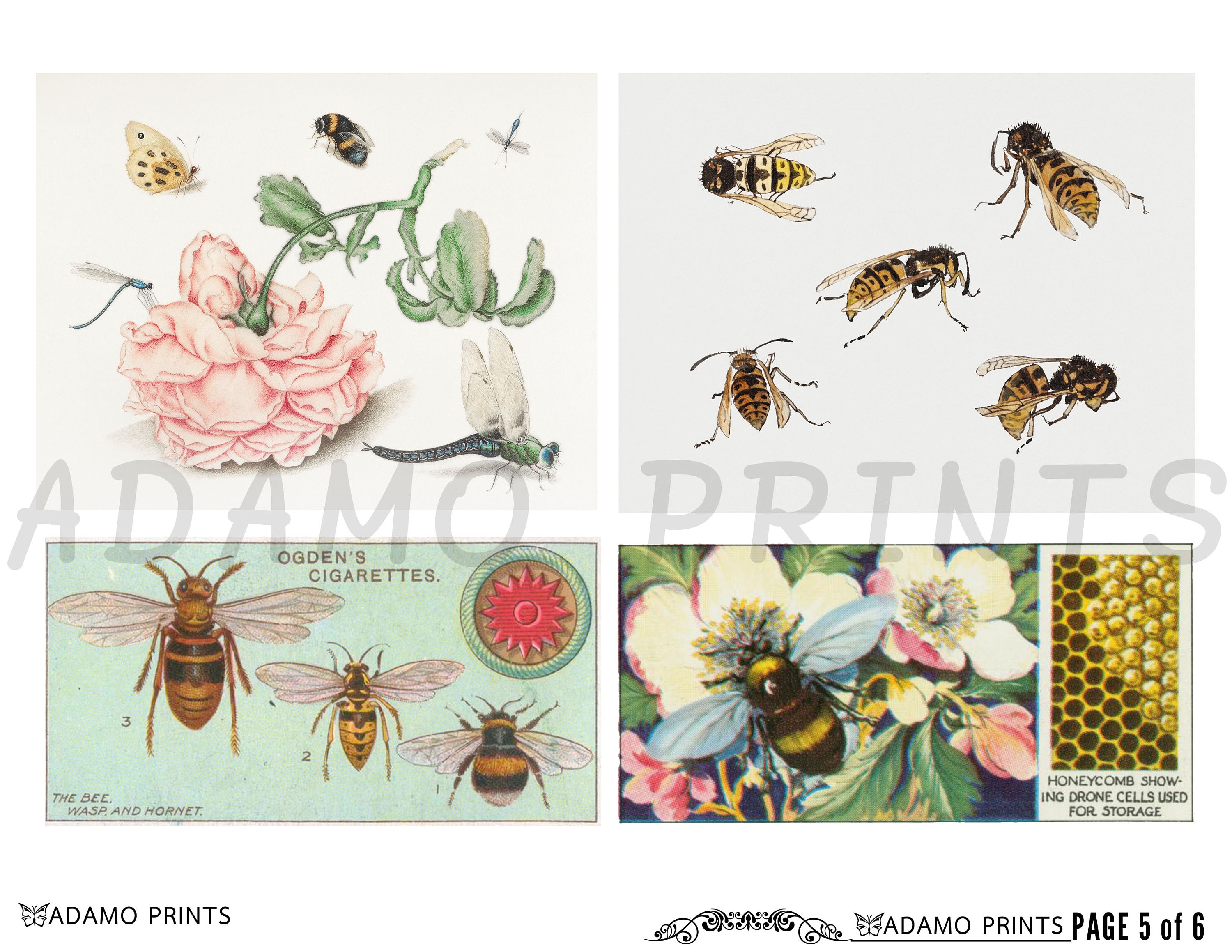 Busy Bee, Ephemera Classics, Bee Digital, Printable Images, Vintage Art ...