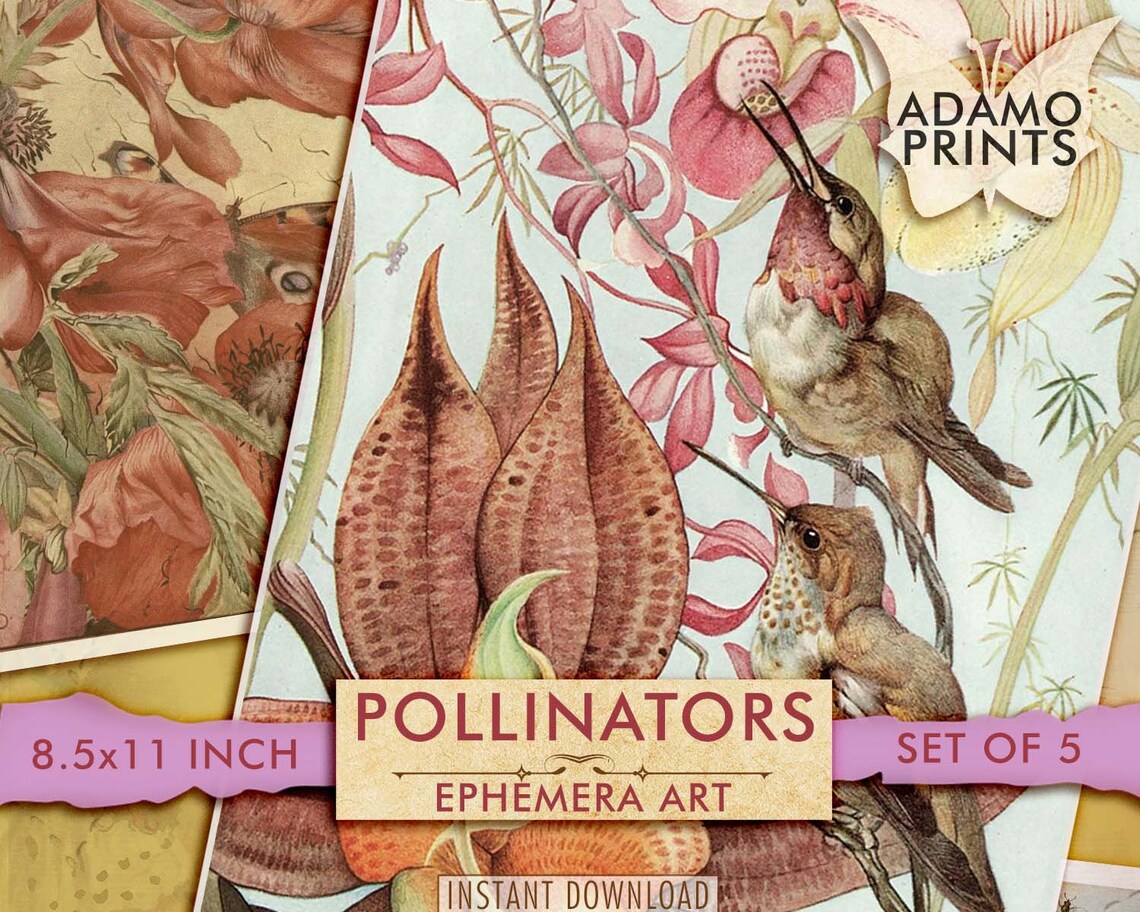 Printable Animal Images Pollination Butterflies Bees - Etsy