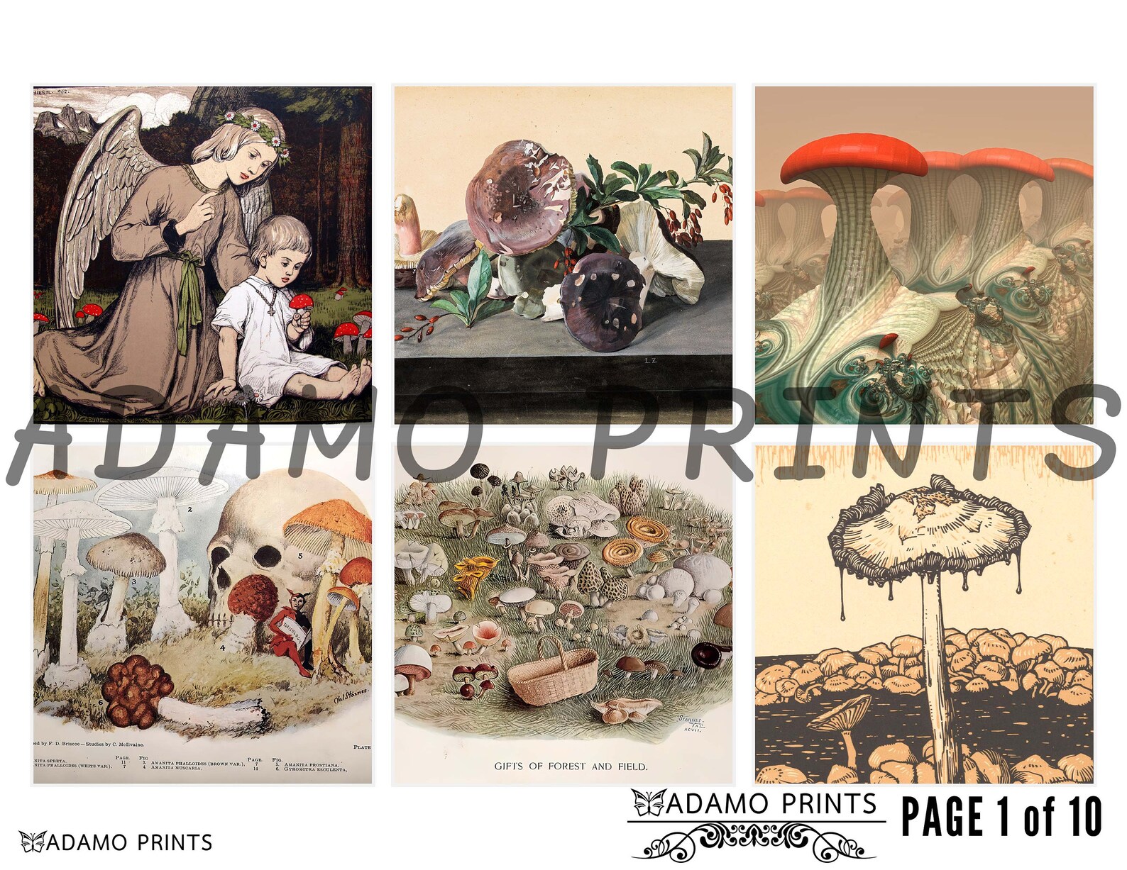 Mushroom Fungi Printable Mushrooms Toadstool and Mushroom - Etsy