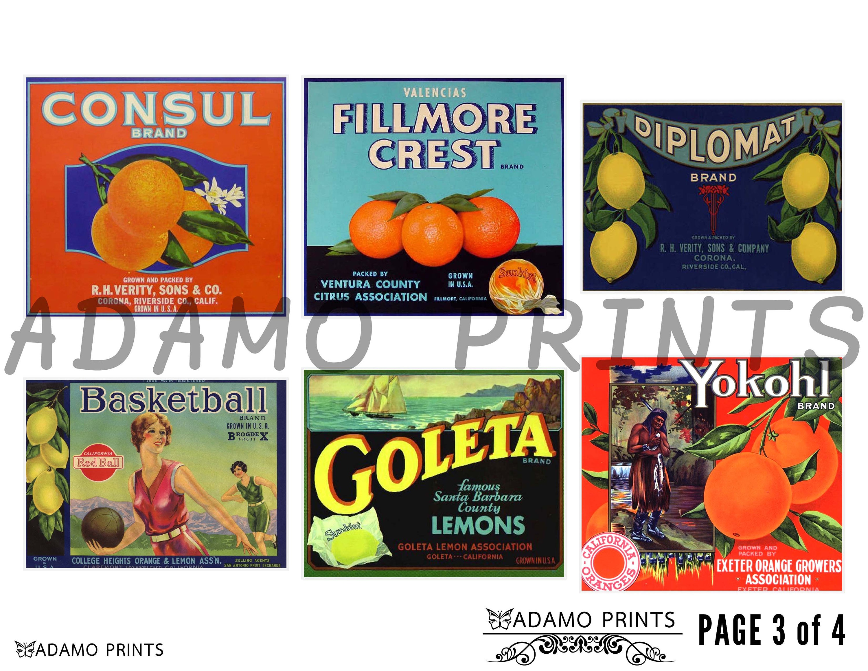 Vintage Fruit Label Orange Lemon Color Labels Digital | Etsy