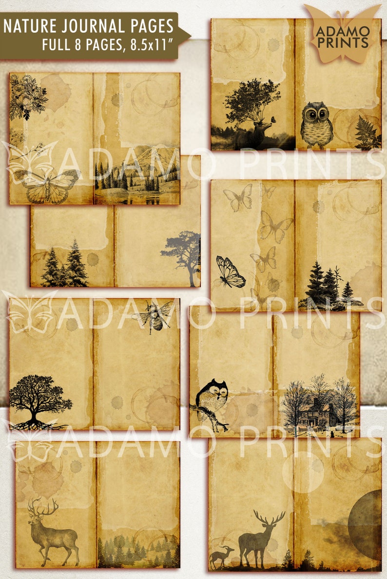 Nature Journal Pages Set2 Collage Sheet Coffee Dyed - Etsy