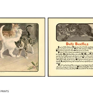 The Book of the Cat, Book Page, Children Book Digital, Ephemera Cat ...