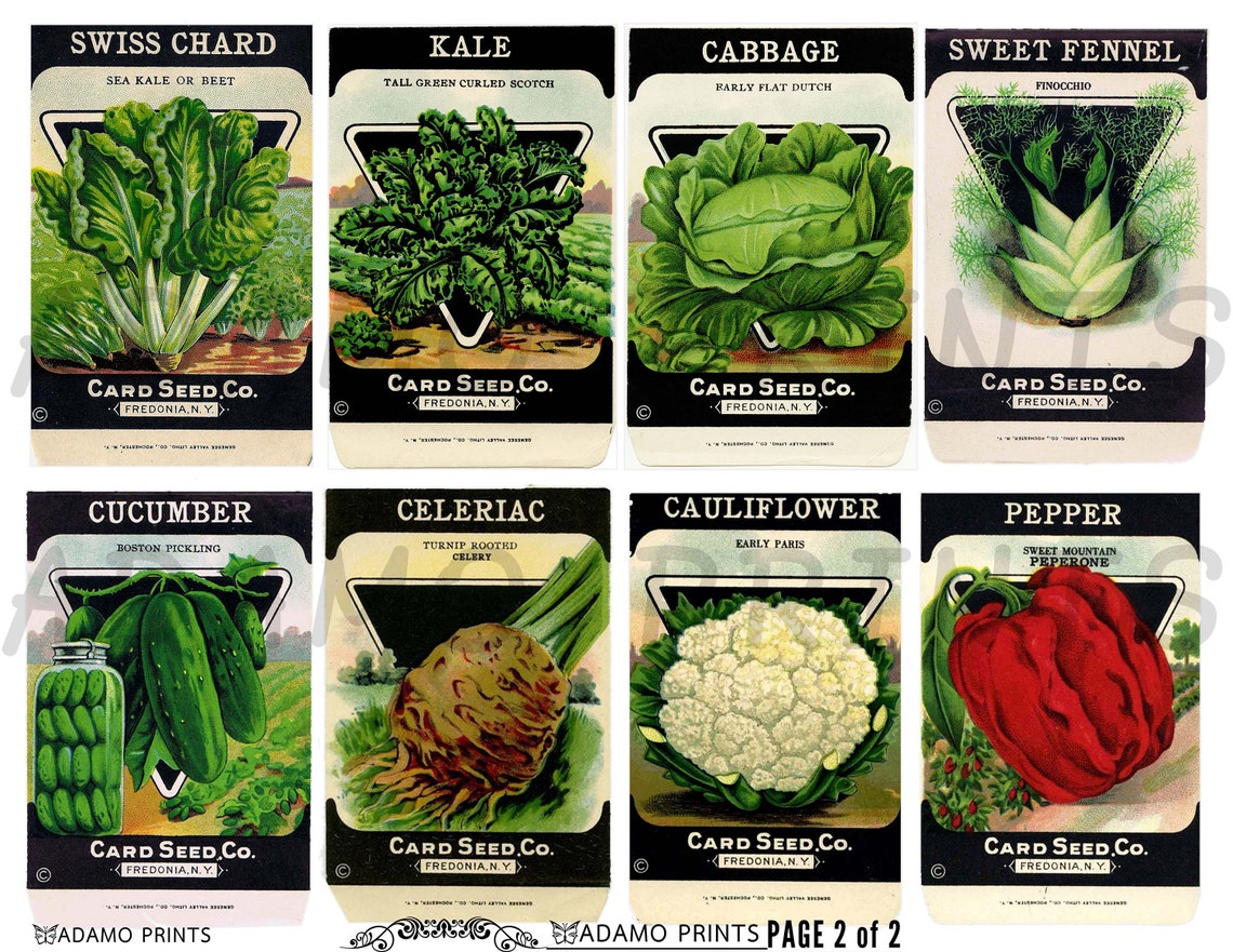 Vintage Vegetable Seed Packets Digital Images ATC Plants - Etsy