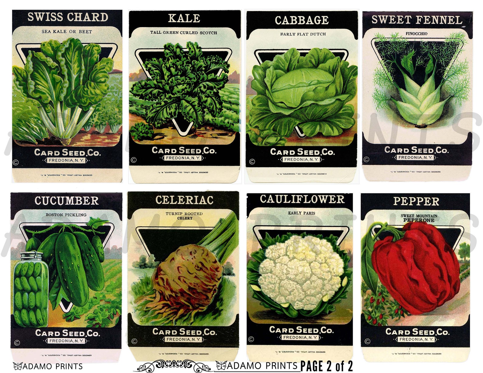 Vintage Vegetable Seed Packets Digital Images ATC Plants - Etsy