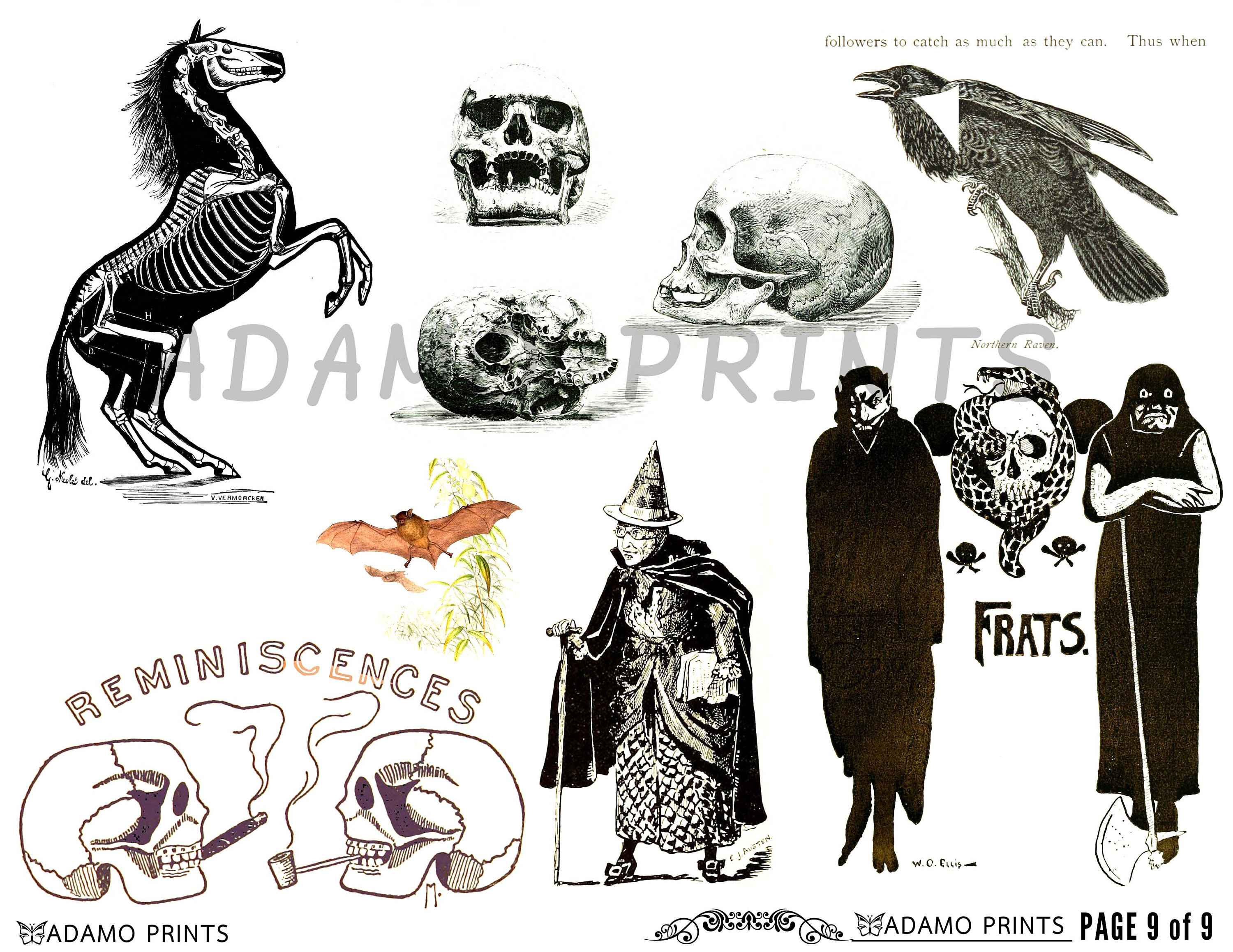 Spooky Horror Paranormal Occult Witch Raven Skeleton | Etsy