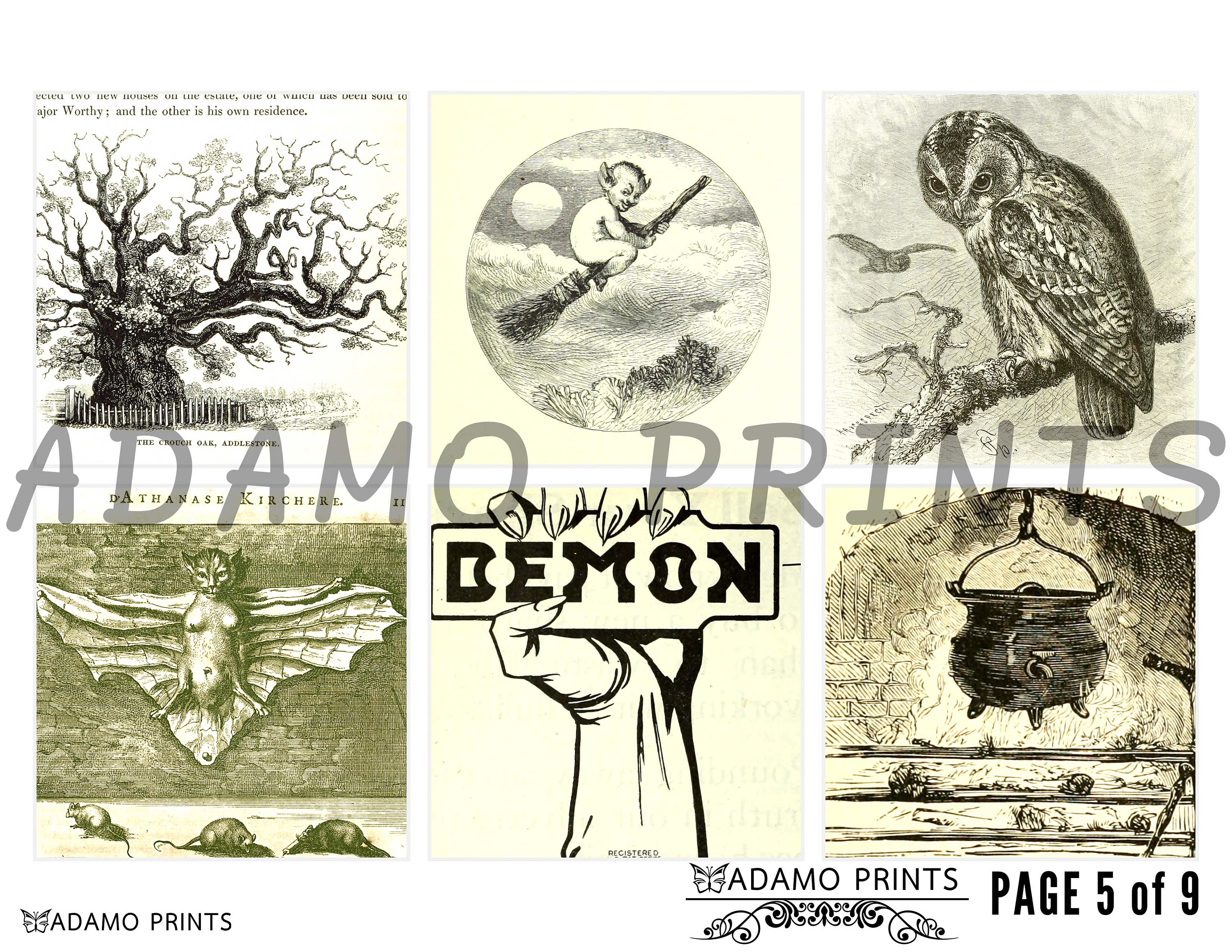 Spooky Horror Paranormal Occult Witch Raven Skeleton | Etsy