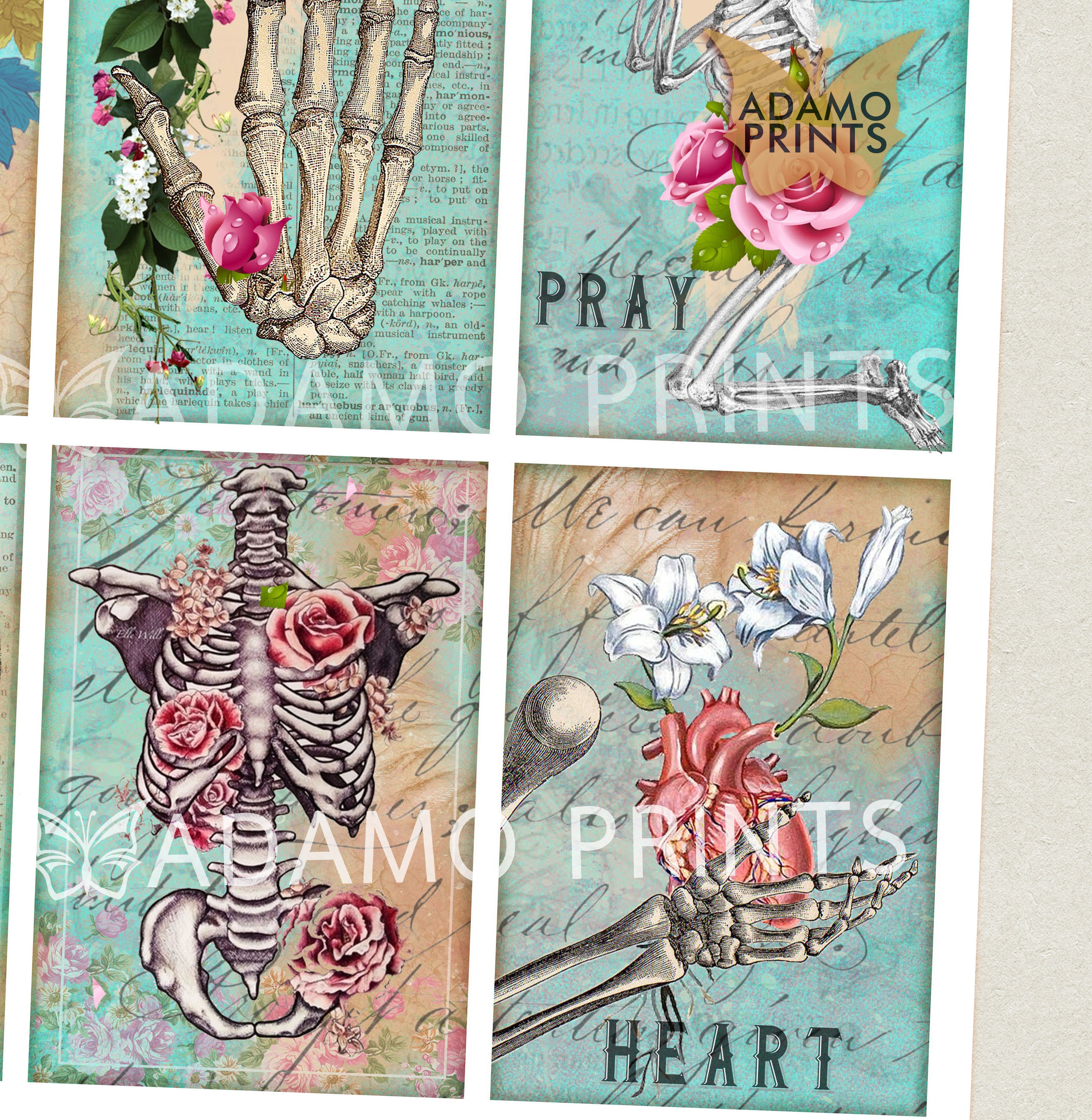 Anatomy Cards, Digital Images, ATC, Skull, Rose, Digital Ephemera ...
