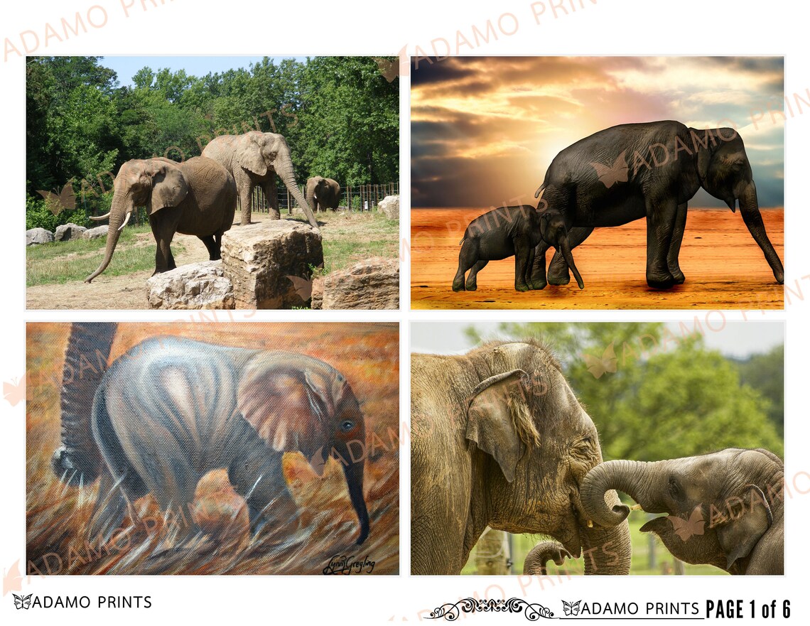 Elephant Digital Collage Ephemera Classics Vintage Vintage | Etsy