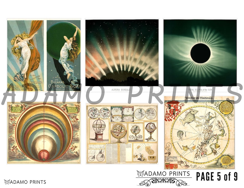 Celestial Art Vintage Astrology Zodiac Astronomy Digital | Etsy