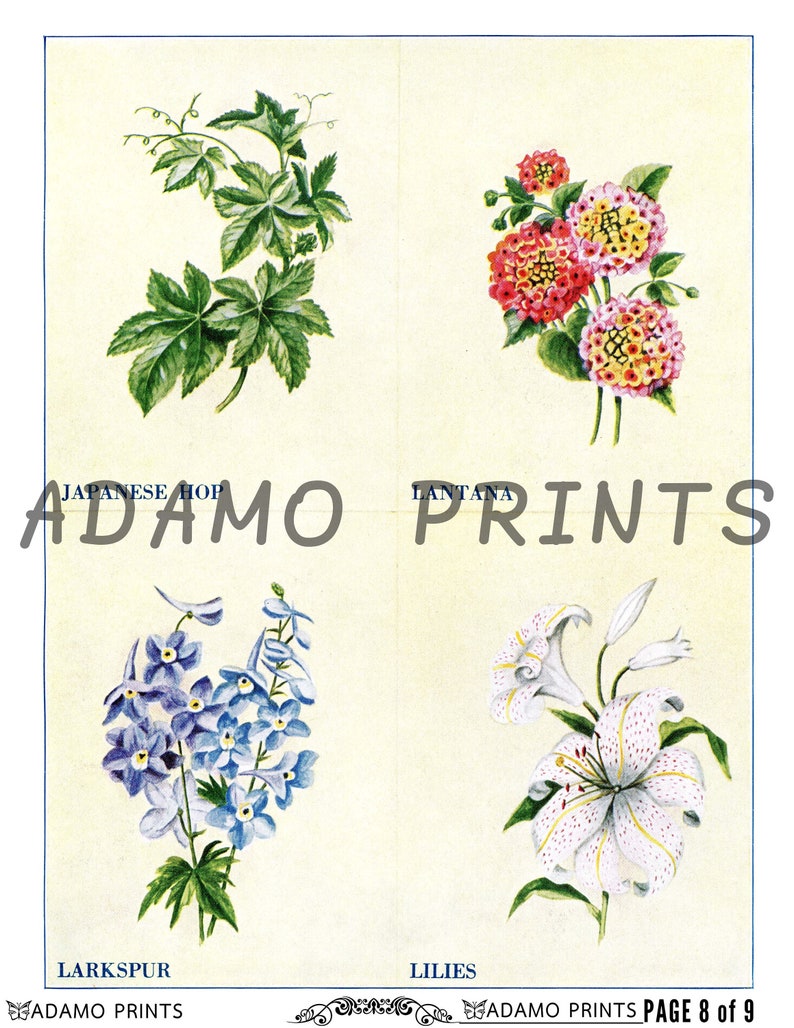 Watercolor Flower Garden Set2 Ephemera Flower Digital Image - Etsy