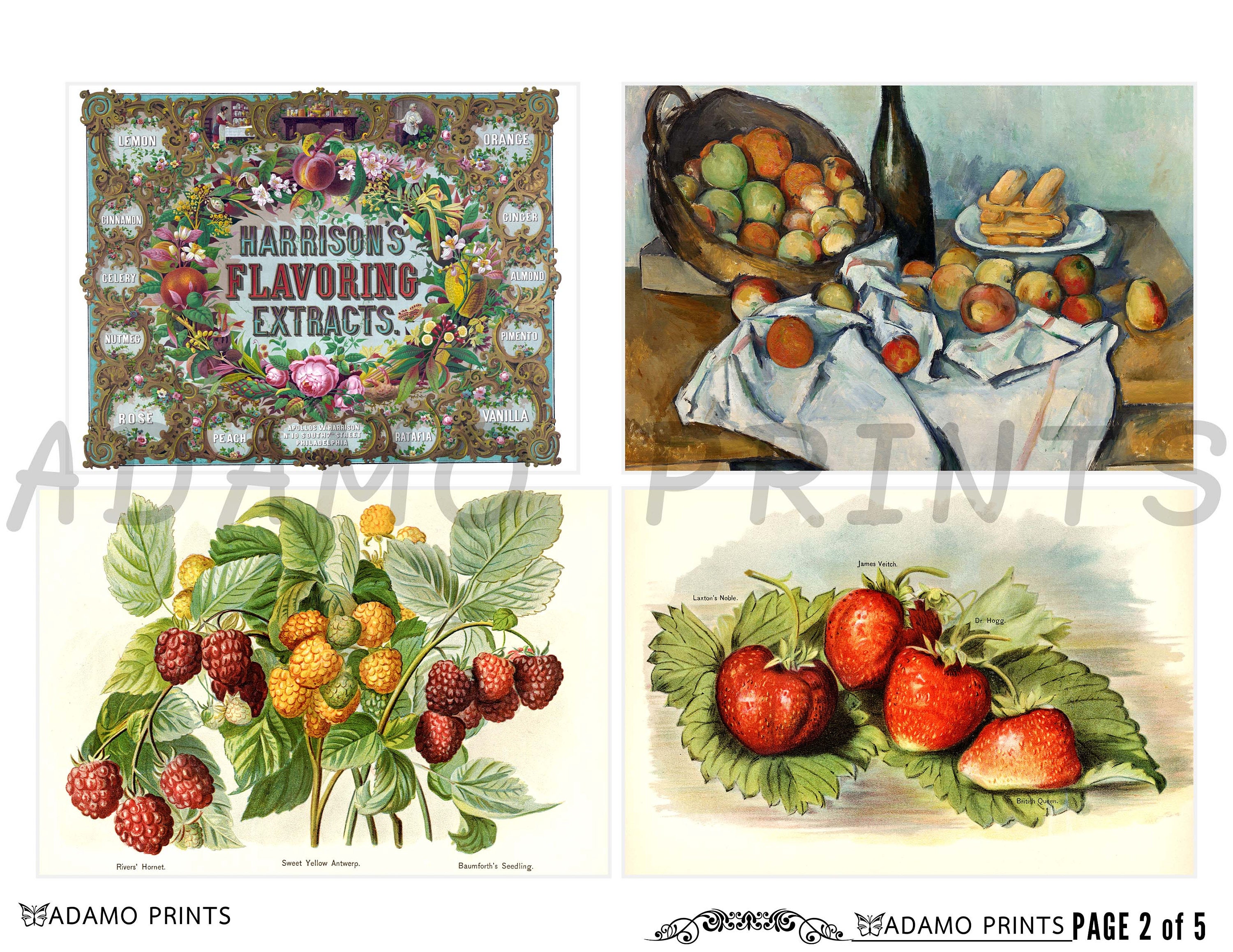 Fruits Digital Set2 Ephemera Arts Digital Images Vintage - Etsy