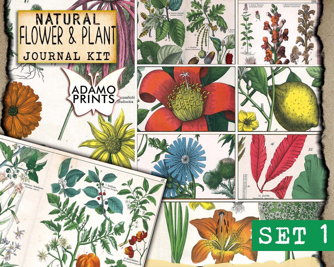 Natural Flower & Plant Journal Kit Set1, Journal Page, Flower Journal ...