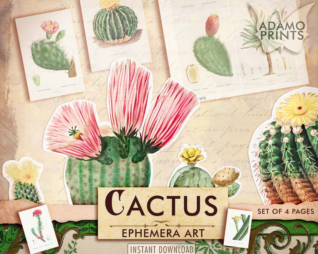 Cactus Digital, Succulents Digital, ATC, Collage Sheet, Plants, Digital ...